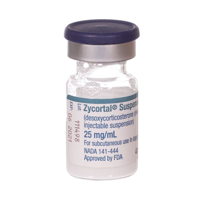 Zycortal® - Revival Animal Health