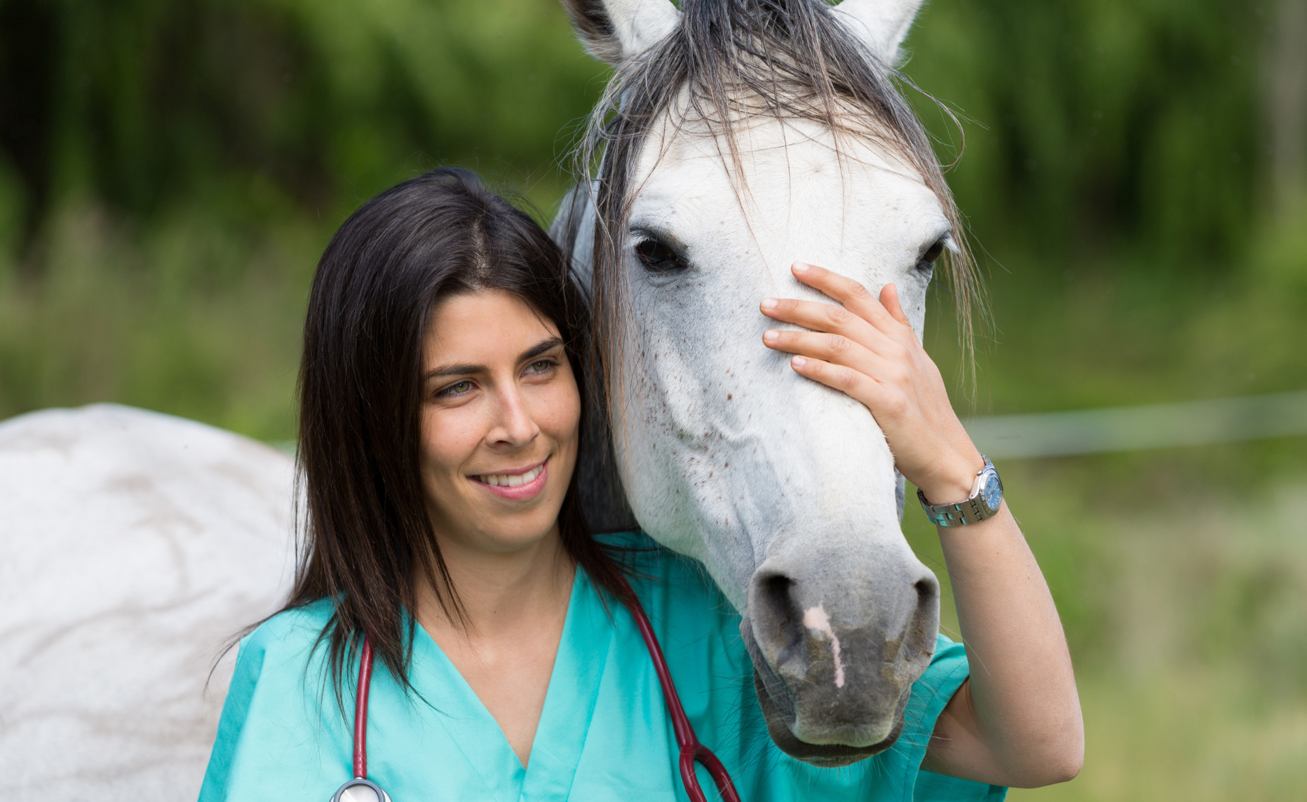 Why Kinetic Vet Is the Go-To for Vets and Pet Owners - Creative Science