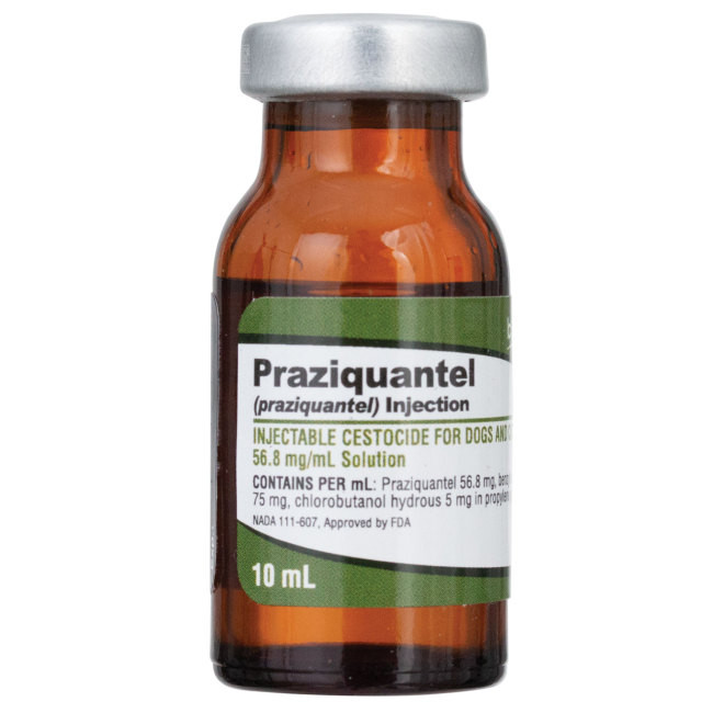 Praziquantel Injection
