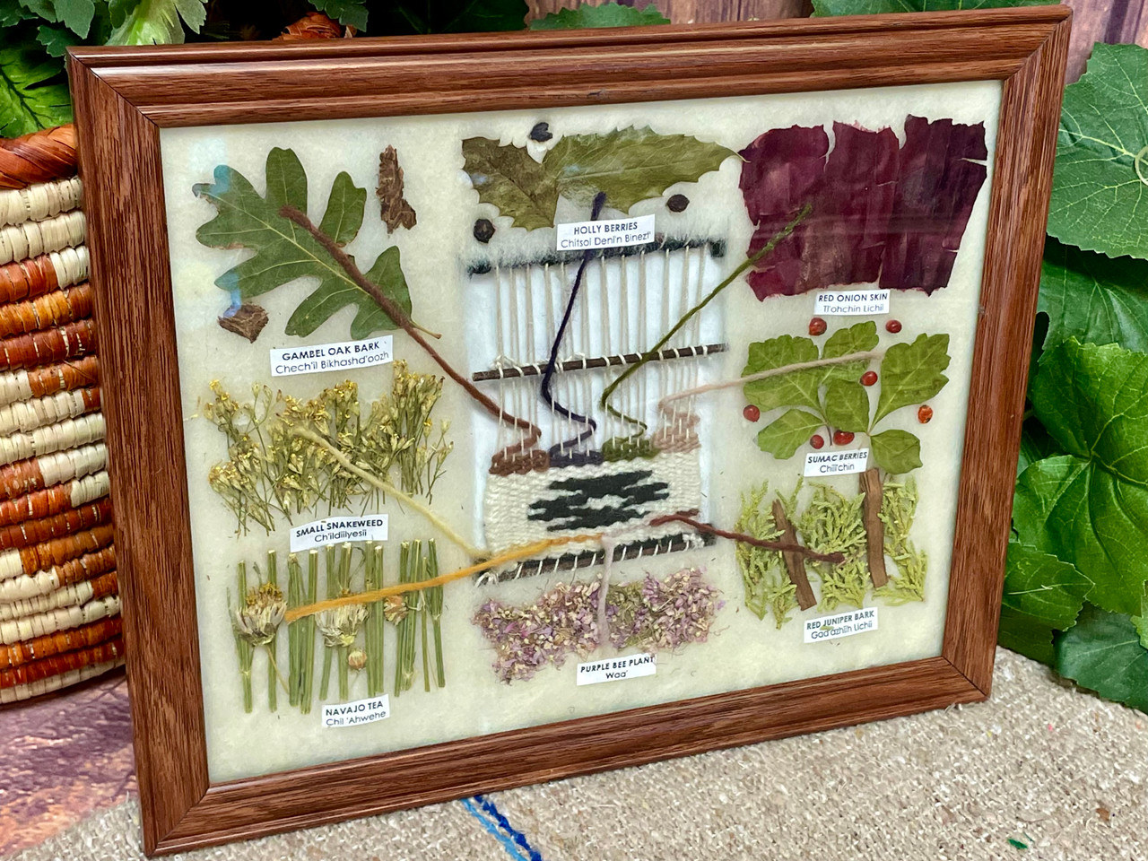 Native American Textile Dye Chart 11.25"x9.5" (65bc184) - Mission Del ...
