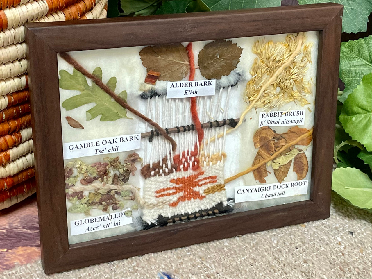 Native American Natural Dye Chart 8"x6" (34bc212) - Mission Del Rey ...