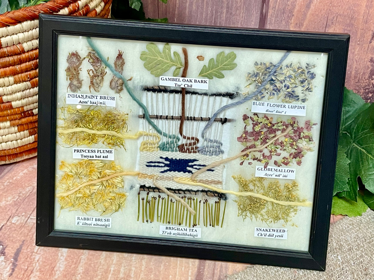Navajo Indian Natural Dye Chart 11"x9" (34bc216) - Mission Del Rey ...