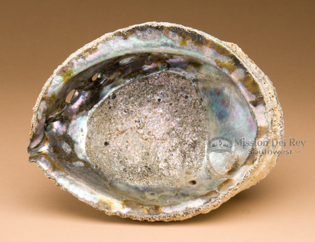 Large Genuine Abalone Smudging Shell - Mission Del Rey Southwest LLC