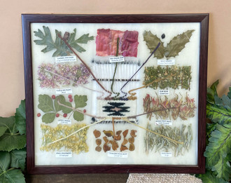 Native American Natural Dye Chart 12"x10" (65bc185) - Mission Del Rey ...
