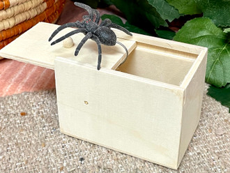 Spider box prank store