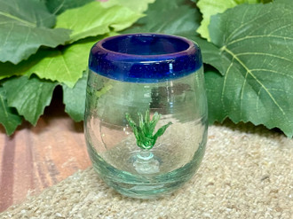 Hand Blown Round Shot Glass -Agave (167bc76)
