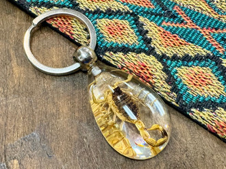 Genuine Souvenir Scorpion Keychain 2" (186sk0801)