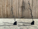Asado Cross with Adjustable Base