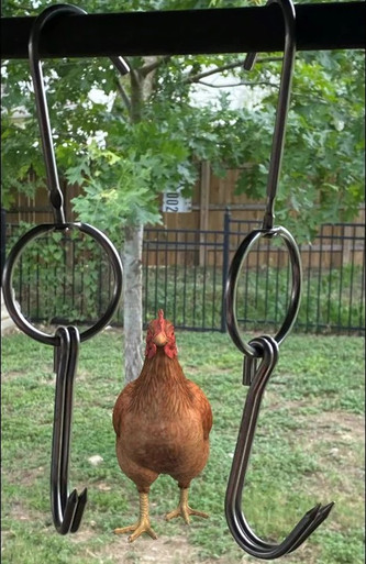 Poultry Roasting Hooks