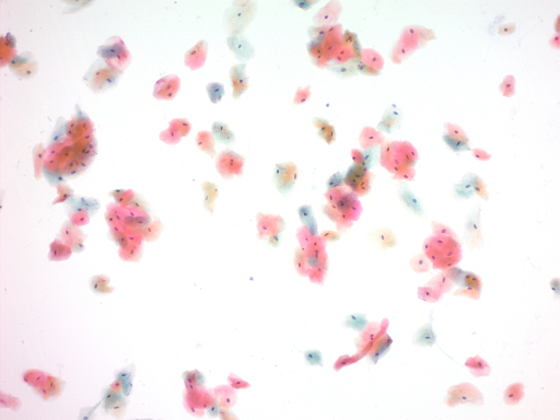 Papanicolaou (PAP) Cytology Stain Kit, 1000mL