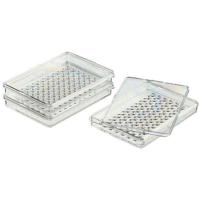 Nalgene Nunc MiniTrays with Nunclon Delta Surface, 72 Well, Conical ...