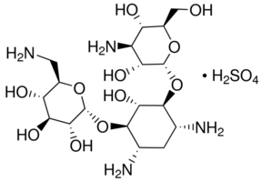 Kanamycin Sulfate From Streptomyces Kanamyceticus Powder Bioreagent 25 gram