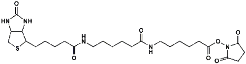 High Purity PEG Reagent, (+)-Biotin-LC-LC-NHS, 95% Min Purity, 250 mg