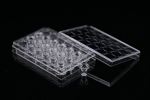 12 Cell Culture Inserts+24-Well Plate, 3.0um, Polycarbonate Membrane ...