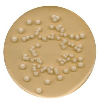 Potato Dextrose Agar for Microbiology, GranuCult® Prime, USP, APHA ...