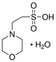Mes Monohydrate Bioxtra 99.0% T 500 gram