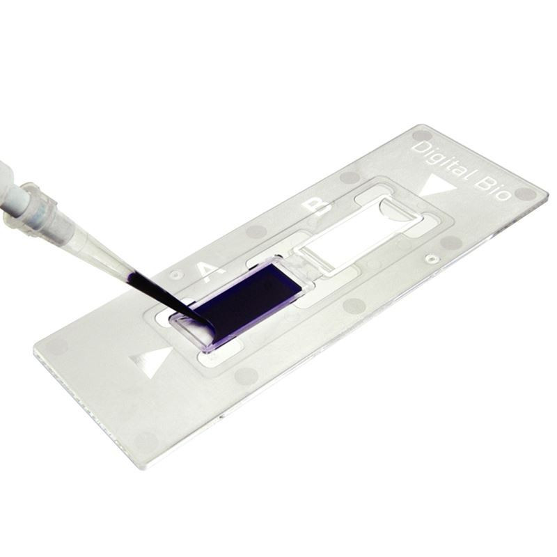 Disposable Hemocytometer, C-Chip, pack/50