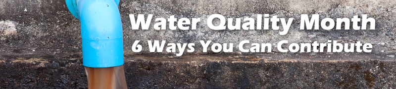 Water Quality Month: 6 Ways You Can Contribute - CP Lab Safety