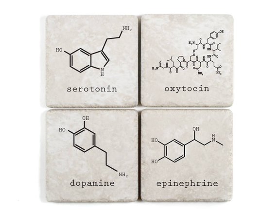 Holiday Gift Buying Guide for the Scientist (or science geek) in your ...