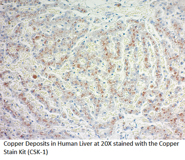 Copper Histology Stain Kit