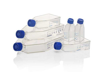 Nalgene® BioLite Collagen I Coated Flasks, Filter Cap, 175 cm2 Culture ...