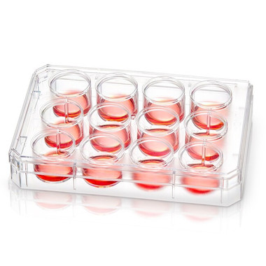 Nalgene® 142475 Nunc Cell-Culture Treated Round Multidishes with Lid ...
