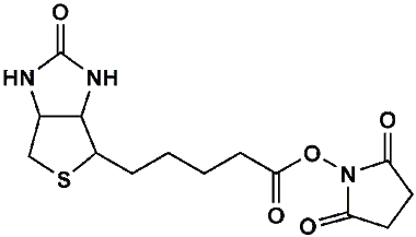 High Purity PEG Reagent, (+)-Biotin-NHS, 95% Min Purity, 5 grams