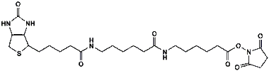 High Purity PEG Reagent, (+)-Biotin-LC-LC-NHS, 95% Min Purity, 250 mg