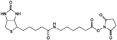 High Purity PEG Reagent, (+)-Biotin-LC-NHS, 95% Min Purity, 1 gram