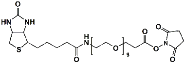 High Purity PEG Reagent, (+)-Biotin-PEG9-NHS Ester, 95% Min Purity, 250 mg