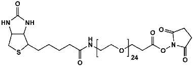 High Purity PEG Reagent, (+)-Biotin-PEG24-NHS Ester, 95% Min Purity, 250 mg