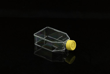 25 cm2 Cell Culture Flask, Vent Cap, TC, Sterile, Maximum Working ...