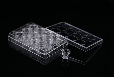 12 Cell Culture Inserts+12-Well Plate, 5.0um, Polycarbonate Membrane ...
