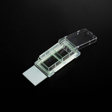 Cell Culture Chamber Slides, 2 well w/glass slide, Clear, 4.55 cm2, 1.2 ...