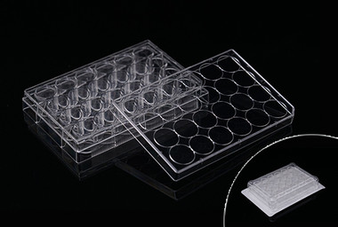 24-Well Cell Culture Plate, Flat, TC, sterile 50 per case