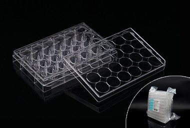 24-Well Cell Culture Plate, flat, TC, Sterile, Bulk, 10 per pack, 50 ...