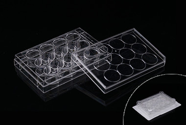 12-Well Cell Culture Plate, Flat, Non-Treated, sterile 50 per case