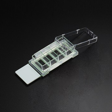 Cell Culture Chamber Slides, 4 well w/glass slide, Clear, 2.13 cm2, 0.5 ...