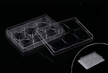 6-Well Low Evaporation EDGE Plate, Flat Bottom, Non-Treated, Sterile ...