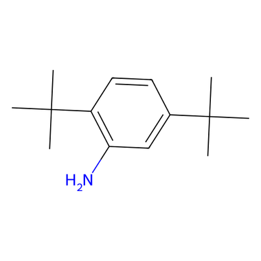 2, 5-Di-tert-butylaniline, min 99%, 10 grams