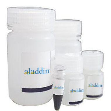 Protein Silver Stain Kit, 20T, Set