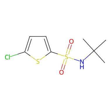 5-Chlorothiophene-2-sulfonic acid tert-butylamide, min 95%, 1 gram