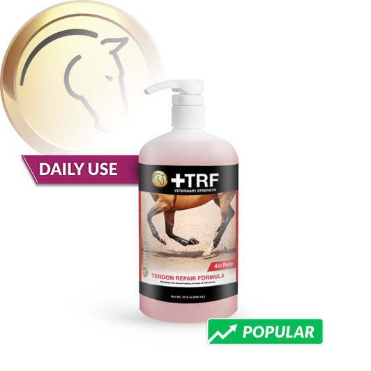 Equine Supplements | Perfect Products EQ