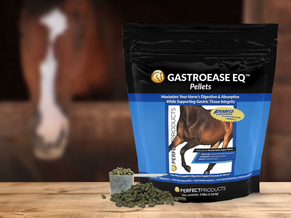 Introducing GastroEase EQ™ Advanced Pellets: A New Approach to Equine ...