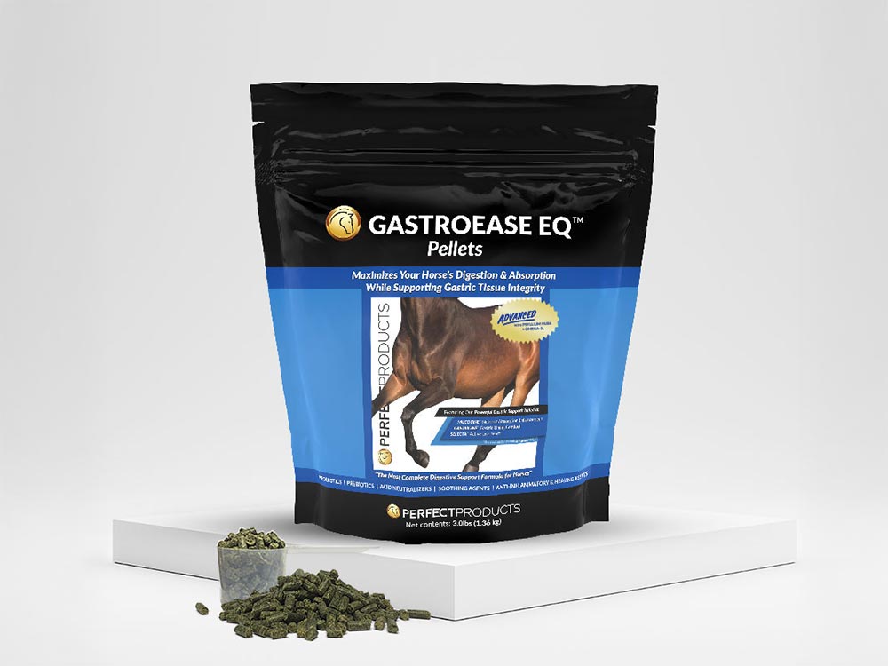 Beyond Ulcer Treatment: The Smarter Way to Protect Your Horse’s Gut ...