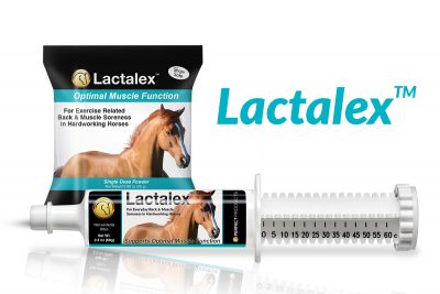 Overcoming Muscle Soreness and Expediting Recovery with Lactalex ...