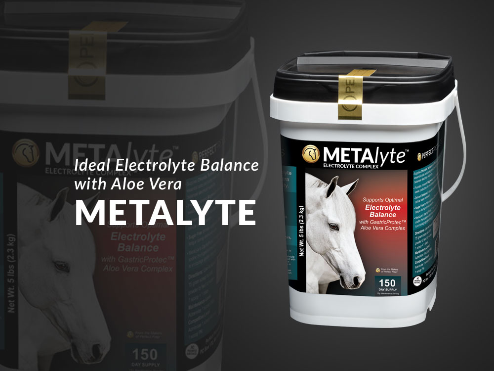 Perfect Products Launches MetaLyte™ Electrolyte Complex With ...