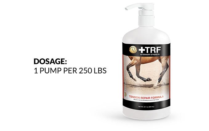 +TRF dosage