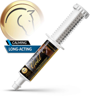 Perfect Prep EQ™ Gold Horse Calming Paste | Perfect Products EQ