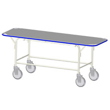 Pedigo P-172 Transport Stretcher, Fixed Height, W/4 Combination Swivel ...